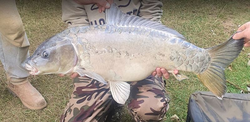 Five Oaks Fishery freshwater fishing in West Sussex